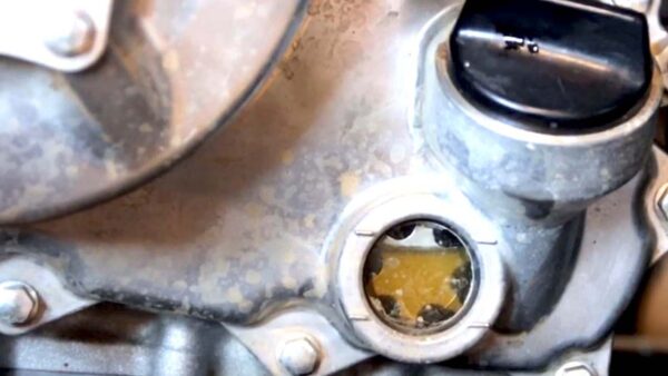 Kawasaki KRX 1000: A Comprehensive Guide to Fluids, Capacity, and ...